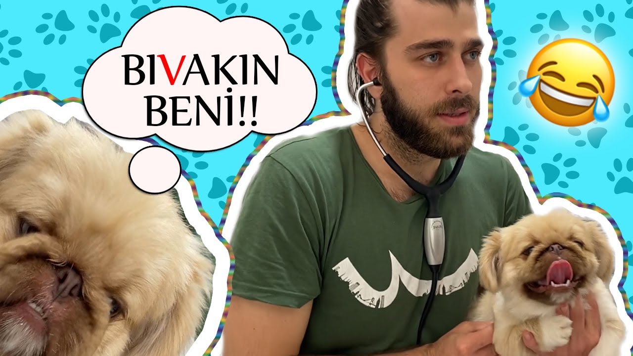Exxen'de Program Yapan Veteriner Tugay İnanoğlu Büyük Tepki Çekti ...